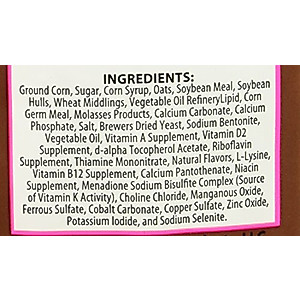 Uncle Jimmys Molasses Big Licky Refills Nutritional Supplements