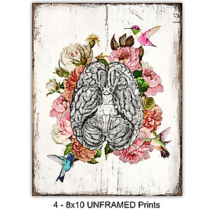 Human Anatomy Floral Hummingbird Wall Art Poster Set - 8x10 Rustic Heart, Brain, Lungs for Doctor, Medical Office, Living Room, Bedroom - Shabby Chic Goth Gift for ER Nurse Practitioner, RN, CNA