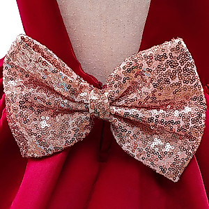EIAY Shop 1-10 Years Baby Girl Big Bowknot Sequins Wedding Ball Gown Girls Pageant Dress Toddler Formal Dresses Red 2-3T