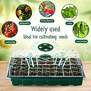 10 Pcs Seed Starter Tray 40 Cells Seed Starter Kit with Humidity Dome and Base Propagation Tray Plant Germination Greenhouse Mini Propagator Station for Seeds Growing, Total 400 Cells(Green,10 Pcs)