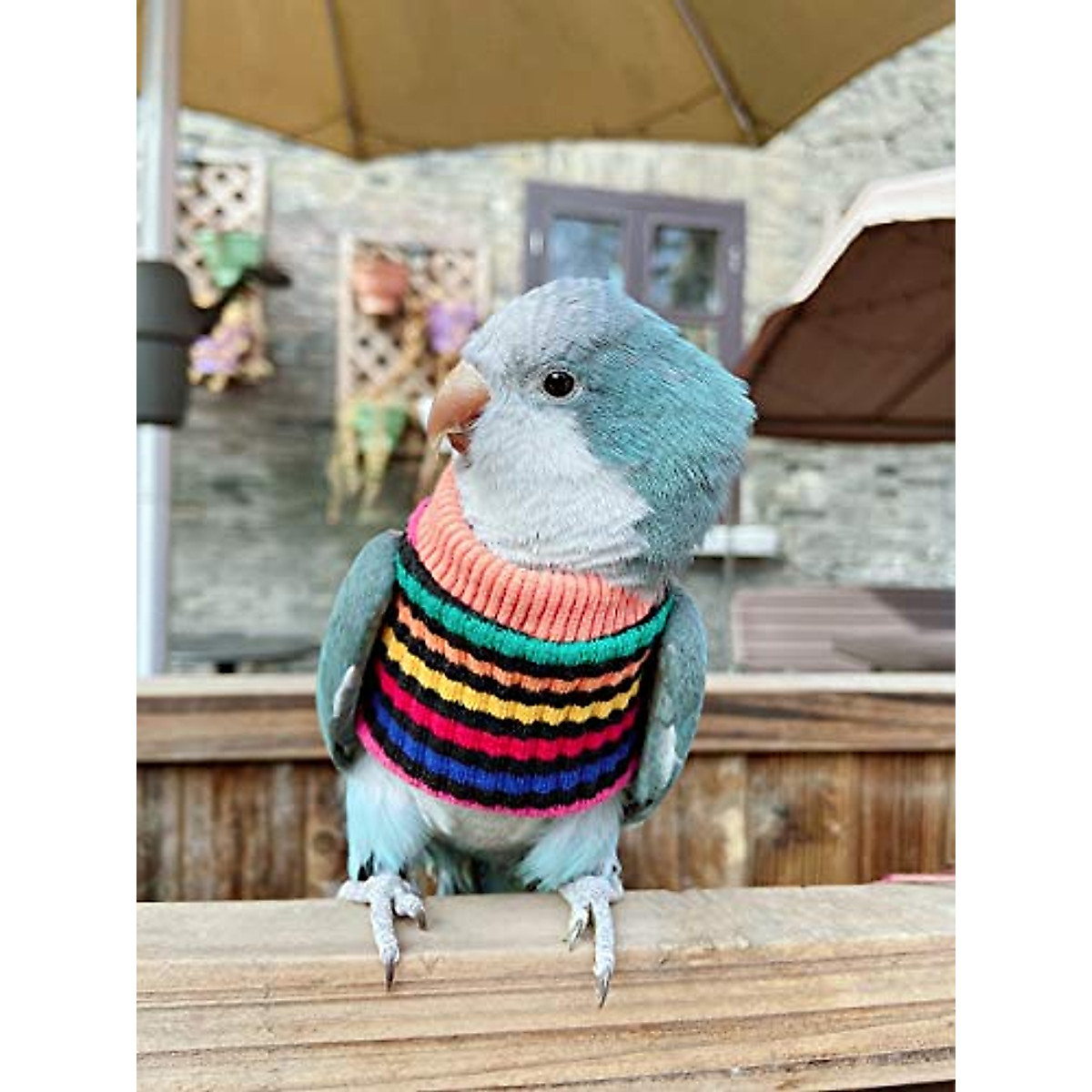 HEZHUO Parrot Bird Supplies, Light Flying Clothes, Warm and Comfortable, Tiger Skin, Green Cheek Parrot, Little Sun Parrot, Monk Parrot, Starling, mynah, Senegal Parrot, Mini Macaw Sweater (4XL)