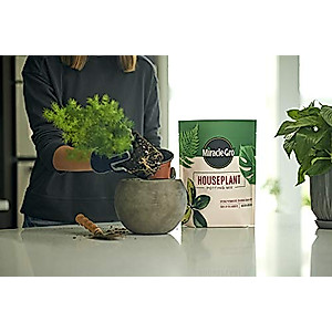 Miracle-Gro Houseplant Potting Mix: Fertilized, Perlite Soil for Indoor Gardening, Designed to Be Less Prone to Gnats, 4 qt.