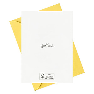 Hallmark Assorted Kids Birthday Cards (24 Blank Cards with Envelopes) Wish Big, Best Day Ever