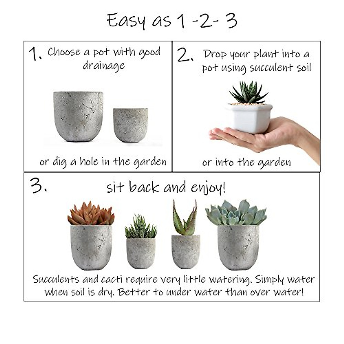 Altman Plants, Succulent Fairy Garden Kit (4 Pack), Live Succulents Plants Live Houseplants, Fairy Garden Accessories Terrarium Plants, Indoor Plants Live Plants Indoor House Plants, Succulent Plants