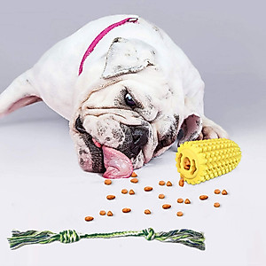 Dog Toothbrush Dog Chew Toys for Aggressive Chewers Large Breed Medium Breed,Dog Dental Care Teeth Cleaning Chew Toys