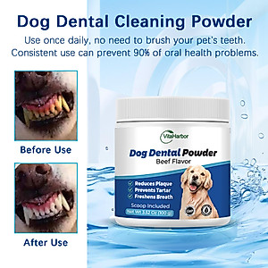 Dog Teeth Cleaning Powder, Dog Dental Powder, Dog Plaque and Tartar Remover Dog Breath Freshener, for Mouth, Teeth and Gum Health, Reduce 90% Dental Problems, Beef Flavor (100g)