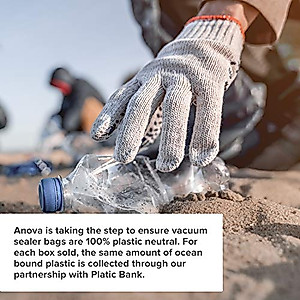 Anova Culinary Precision Vacuum Sealer Bags (Pre-cut),Clear