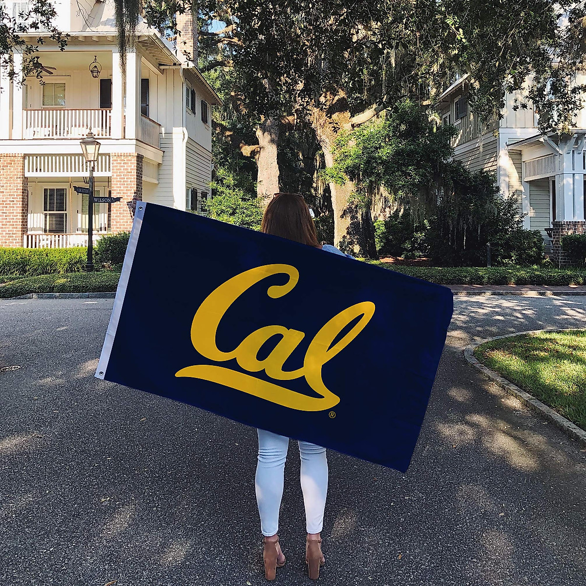 Desert Cactus University of California Berkeley UCB Flag - 3 x 5 Feet Golden Bears Banner, Indoor/Outdoor Durable Fabric, 100% Polyester Design (Style 2)