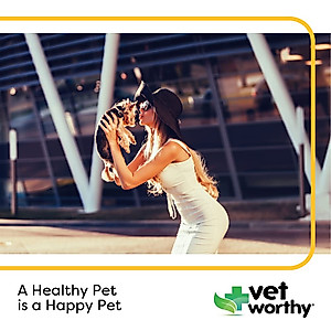 Vet Worthy Puppy MultiVitamins - Multivitamin for Puppies to Support Optimum Health & Overall Wellness - Dog Supplement with Iron,Magnesium,Zinc,Vitamin A,B Vitamins - Liver Flavor,60 Chewable Tablets