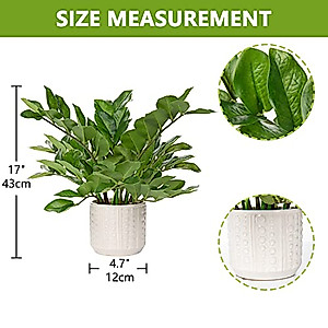 Briful Faux Plants Indoor 17" Artificial ZZ Plants in Ceramic Pot Fake Potted Zamioculcas Silk Plants for Home Living Room Office Decor Bedroom Aesthetic