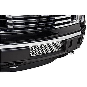 Putco 84182 Ecoboost Punch Design Bumper Grille Insert for Ford F150