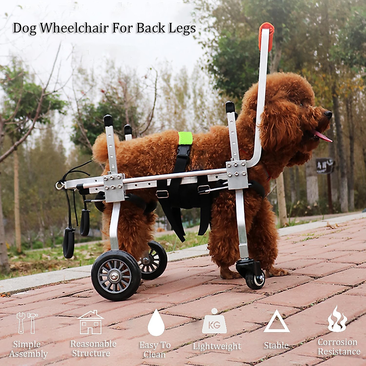 Dog Wheel Chair, Adjustable 4 Wheel Pet Wheelchair with Handle for Small and Medium Sized Cats/Dogs, Dog Wheelchair Cart for Front Leg Arthritis, Weak Limbs (XXXS)