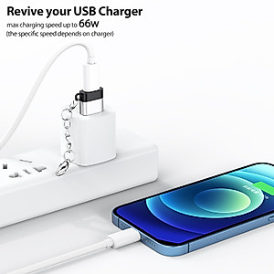 DteeDck USB C Female to USB Male Adapter 2 Pack, USB 2.0 (66W Charging & 480Mbps Data Transfer Sync) Converter with Keychain, USBC Type C Connector for Laptop Car Charger Headphone Computer Hub etc.