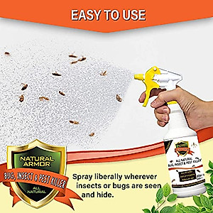 Natural Armor Natural Bug, Insect & Pest Killer & Control Including Fleas, Ticks, Ants, Spiders, Bed Bugs, Dust Mites, Roaches and More for Indoor and Outdoor Use, 128 oz Gallon Refill Case of 4