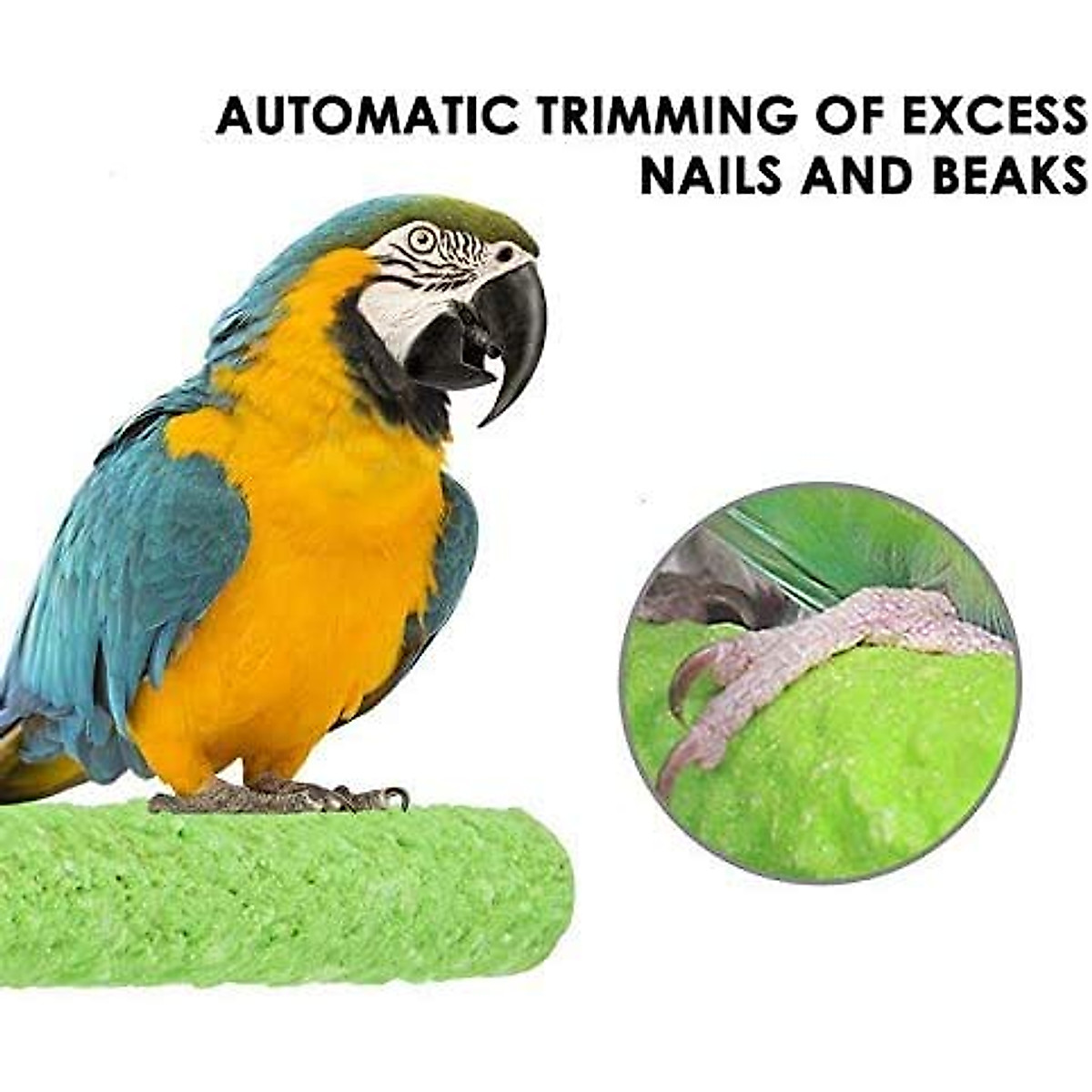 Bird Rope for Parrots,2 PCS Bird Perch Stand,Bungee Bird Toys Bird Cage Accessories for Bird Swinging, Climbing,Standing(3PCS)