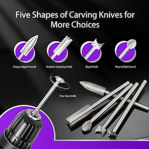 Wood Carving Drill Bit Set Compatible with Dremel Rotary Tools, Different Shapes of Engraving Bits with 1/8Inch Shank Meeting Woodworking Carving, Drilling Hole, Grinding,Drawing Lines Needs