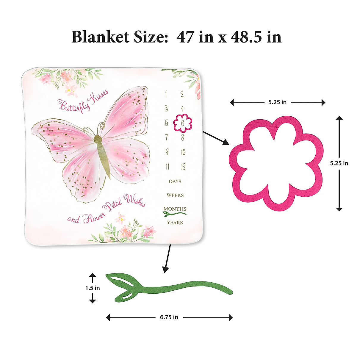 Lillian Rose Butterfly Baby Milestone Blanket Frames, Pink