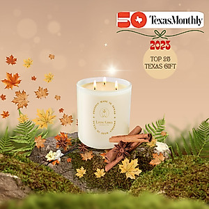 Fall Fresh Cinnamon Bark Essential Oil - Warm & Spicy Pure Beeswax Candle - 90+ Hours Long Burning - Non-Toxic Scented Candles for Autum Home Decor & Aromatherapy for Anxiety Relief - Natural - 15 OZ