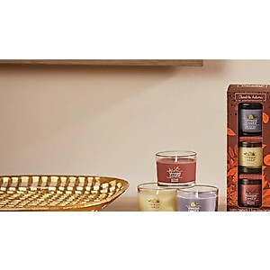 Toast to Autumn 3 Pack Fall Mini Jar Candles