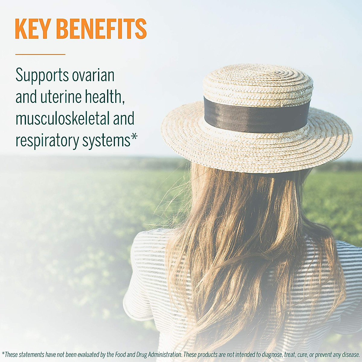 Genestra Brands European Mistletoe Young Shoot | Herbal Supplement | 0.5 fl. oz.