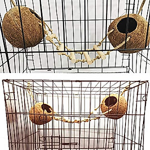 kathson Bird Hides Coconut Nest with Ladder Perches Hanging Parrot House Cage Natural Coconut Fiber Parakeet Chewing Toys Intelligence Training Rings for Small Budgies Cockatiels 5PCS