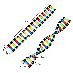 iplusmile DNA Models Double Helix Structure Models DNA Double Helix Modesl Kit Biological Science Popularization Teaching Aids for DNA Assembling