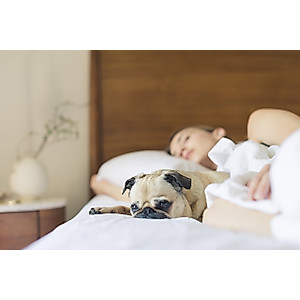 2 Pack Vista 200 3-in-1 True HEPA Filter Compatible with Levoit Vista 200, Vista 200-RF Air Purifier