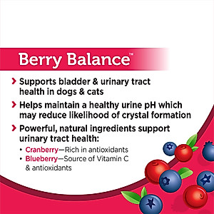 Solid Gold Cranberry Supplement for Dogs & Cats for Urinary Tract Health - Berry Balance UTI + Bladder + Kidney Support for Cats and Dogs with Antioxidants - Cranberry Powder - 3.5 oz
