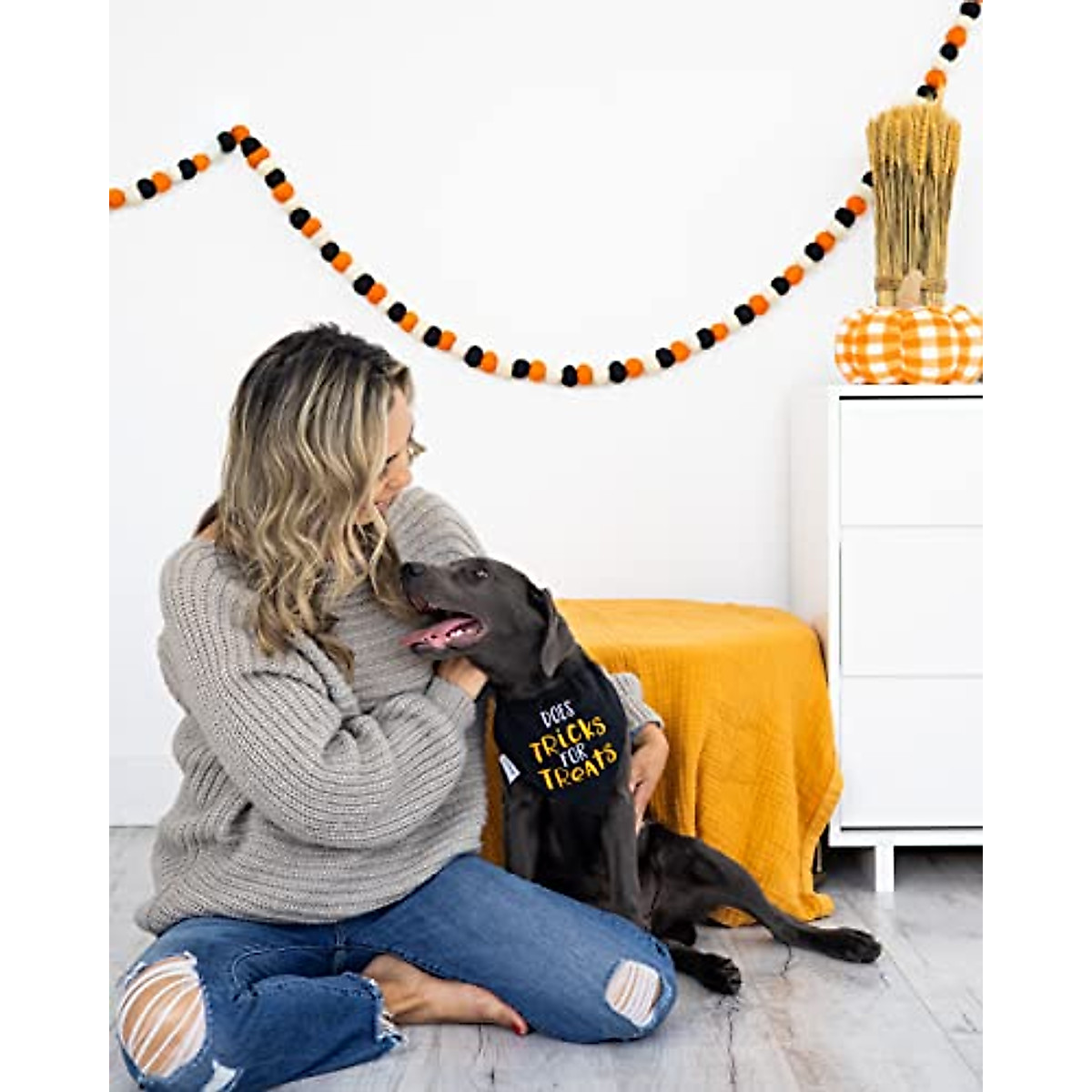 Pearhead Trick or Treat Bandana, Fall Holiday Dog Apparel, Halloween Dog Costume, Dog Slip On Collar Accessories, Small/Medium, S/M