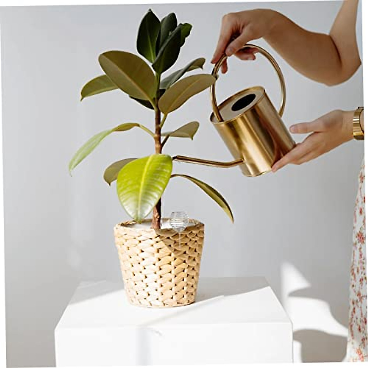 Yardwe 10pcs Tiny Pots Bonsai Fertilizers Succulent Steel Baskets Mesh Stainless Plant Holder Tool Gardening Fertilization Cups Accessories Potted for Nursery Orchid Manure Flowers