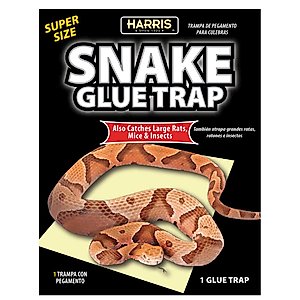 Harris Snake Glue Trap, Super Sized for Snakes, Rats, Mice and Insects (1-Pack)