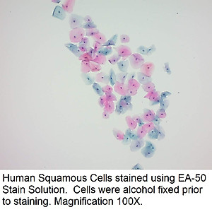 EA-50 Stain Solution, 1000ml