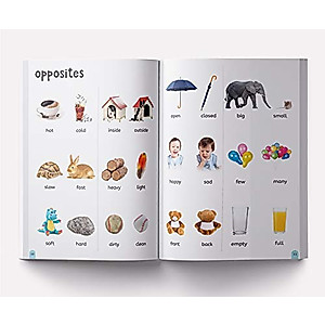 My First 500 Words: Early Learning Picture Book