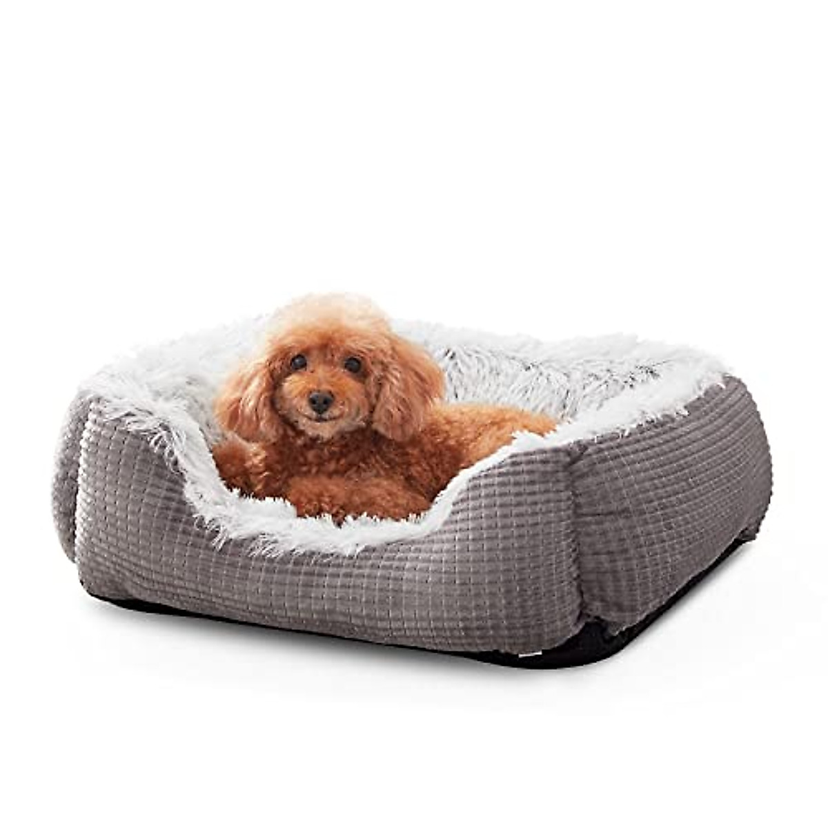 MIXJOY Medium Dog Bed for Medium Small Large Dogs, Washable Orthopedic Dog Sofa Bed, Durable Plush Rectangle Pet Bed, Soft Fluffy Calming Puppy Bed with Anti-Slip Bottom(M, 25''x 21''x 8'')