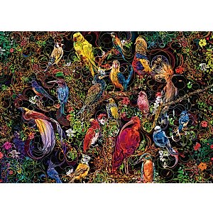 Ravensburger Birds of Art 1000-Piece Jigsaw Puzzle | Unique Artwork | Perfect Interlocking Fit | Vibrant and Glare-Free | FSC Certified