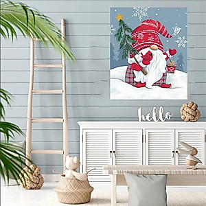 Christmas Gnome Stamped Cross Stitch Kits for Adults, Christmas Gnome Counted Pattern Needlepoint Kits Crafts Dimensions Cross-Stitch Stamped Kits Embroidery Kits Arts Craft Kits for Wall Art Gift