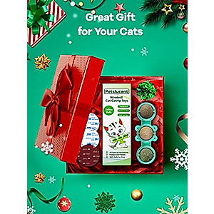 Petslucent Catnip Ball for Cats Wall, 3in1 Cat Toys Wall Ball Mint Balls Lick Roller, Cat Nip Silvervine Edible Kitty Safe Healthy Kitten Teeth Cleaning Dental Cat Toy Chew Toys Indoor