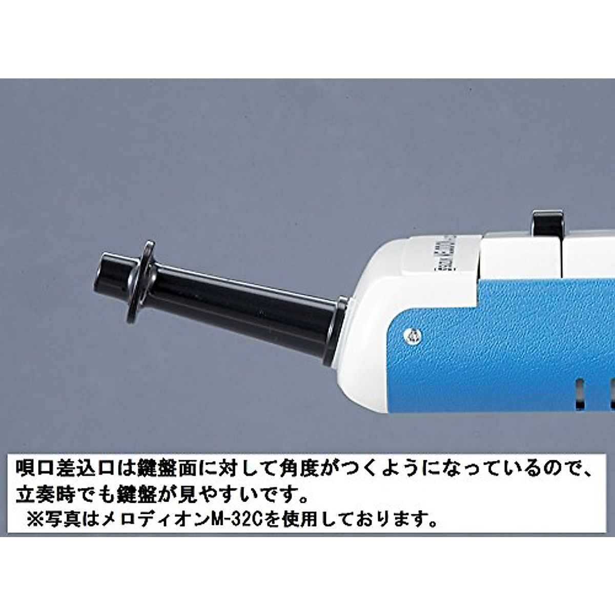 Suzuki Musical Instrument Corporation S-32C Soprano Melodion with Case and Mouthpiece