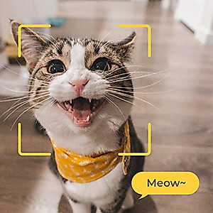 ABRCT Camera Automatic Cat Feeder, Voice and 1080HD Video Recording Cat Food Dispenser, Timed Cat Feeder with Desiccant Bag, Smart Cat Pet Feeder with Dual Power Supply (White)