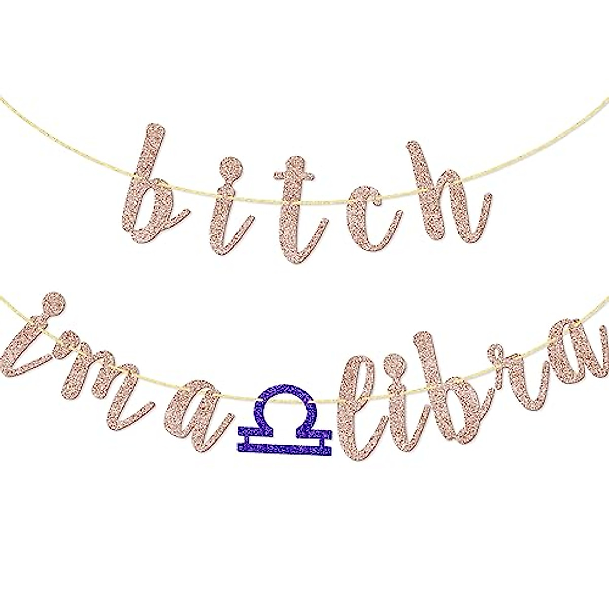Bitch I'm A Libra Banner, Pre-strung Libra Season Birthday Banner, Zodiac Birthday Party Decorations, 18th, 21st, 25th, 30th, 40th Birthday Party Decorations, Champagne Glitter