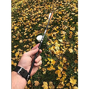 REEGOX Crossbow Bolts 20 inch Bio Crossbow Arrows with 4-Inch Vanes(Pack of 12)