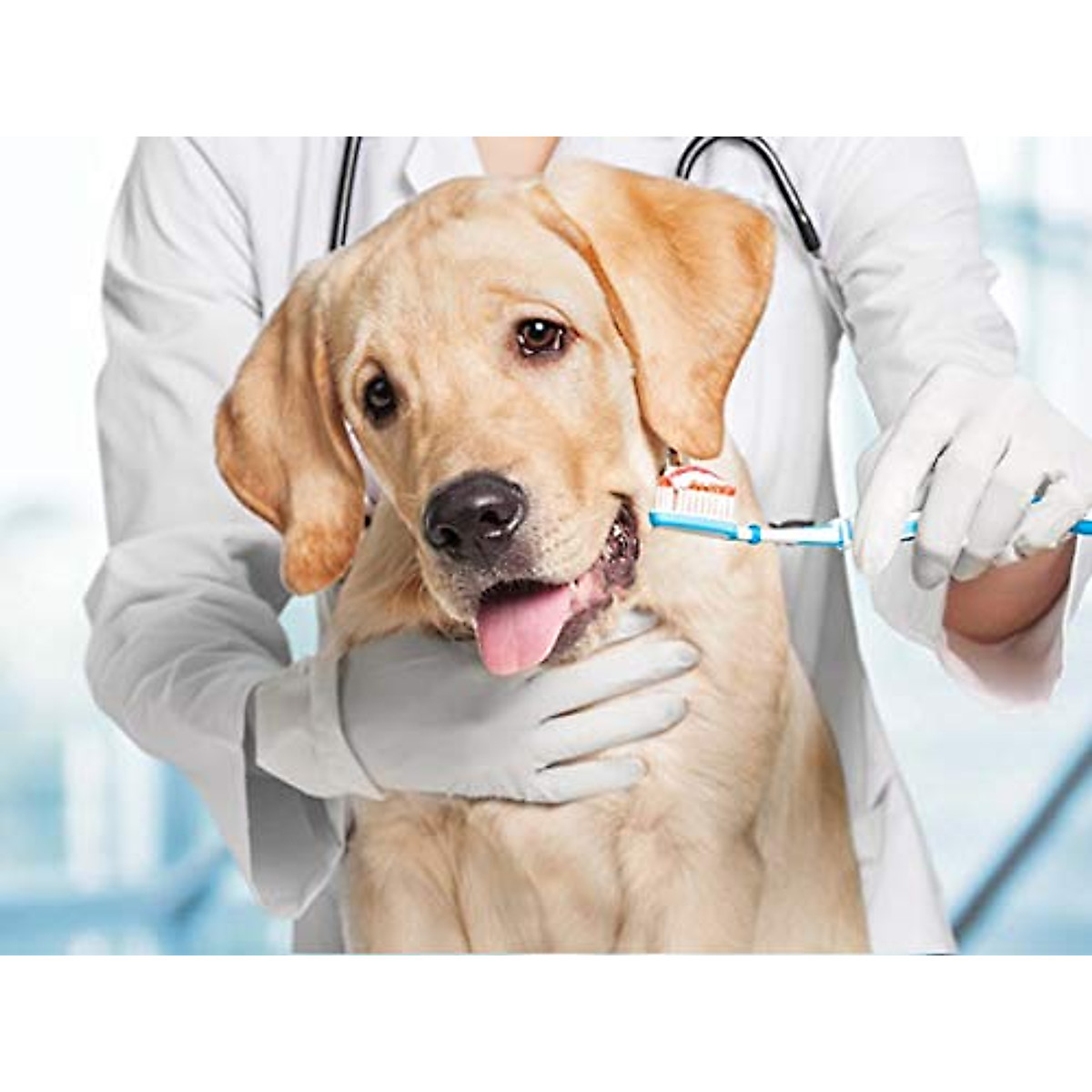 PET SUPPLEMENTS & NUTRITION LLC Dog Mouth Cleaner - Dog Teeth Health Formula - Natural Gum Care - REMOVES Plaque Build UP - FRESHENS Breath - Dog Cranberry Extract - 2 Bottles (120 Treats)