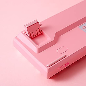 Akko World Tour Tokyo 3061S 60% Pink Wired Mechanical Gaming Keyboard, RGB Backlit, Hot-swappable Wired with OSA Profile PBT Keycaps and NKRO (Jelly Pink Switches)