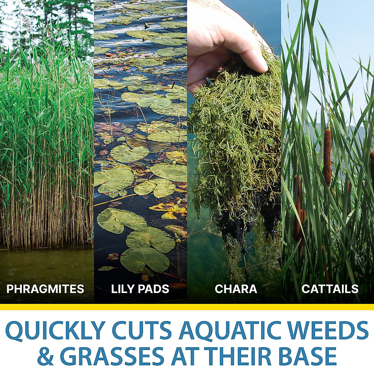 Jenlis The Original Weed Razer, Lake Weed Cutter, Large Pond Aquatic Plant Cutting Tool, Long and Sharp Razor Blades Shear Cattail, Reed, Lilly & Chara Algae, 48 Inch Cut Width, 25 Foot Throw Rope