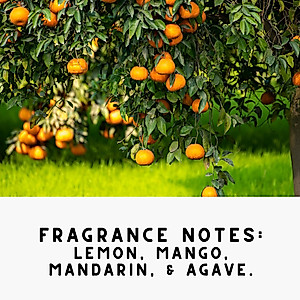 The Diamond Life Home "Citrus" Lemon & Mango Carpet Natural Refresher Powder, Mattress & Upholstery Freshener, Odor Eliminator, Deodorizer For Homes With Kids & Pets(2 Pack)