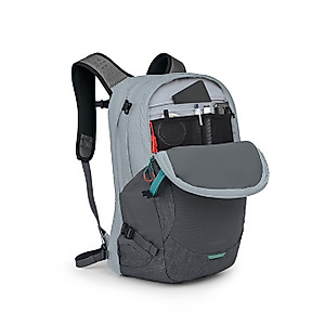 Osprey Nebula 32 Laptop Backpack, Silver Lining/Tunnel Vision Pop