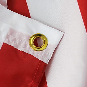 SOULBUTY Ni-c-ki American Flag 3x5 Outdoor Indoor Flag USA for Wall-Double Stitched- Polyester with Brass Grommets (3X5)