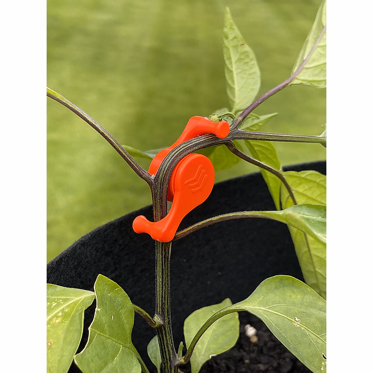 Engineered Essentials Any Angle Adjustable Plant Bender