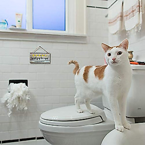 Funny Bathroom Sign Rustic Bathroom Decor Wall Arts - 4.5 Stars Would Poop Here Again - Amazing Experience - Farmhouse Guest Bathroom Wall Picture Decor 11.5" by 6"