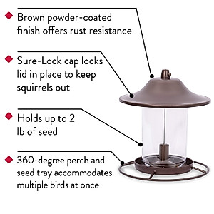 Perky-Pet 312-1SR Outdoor Panorama Wild Bird Feeder - 2 Lb Seed Capacity